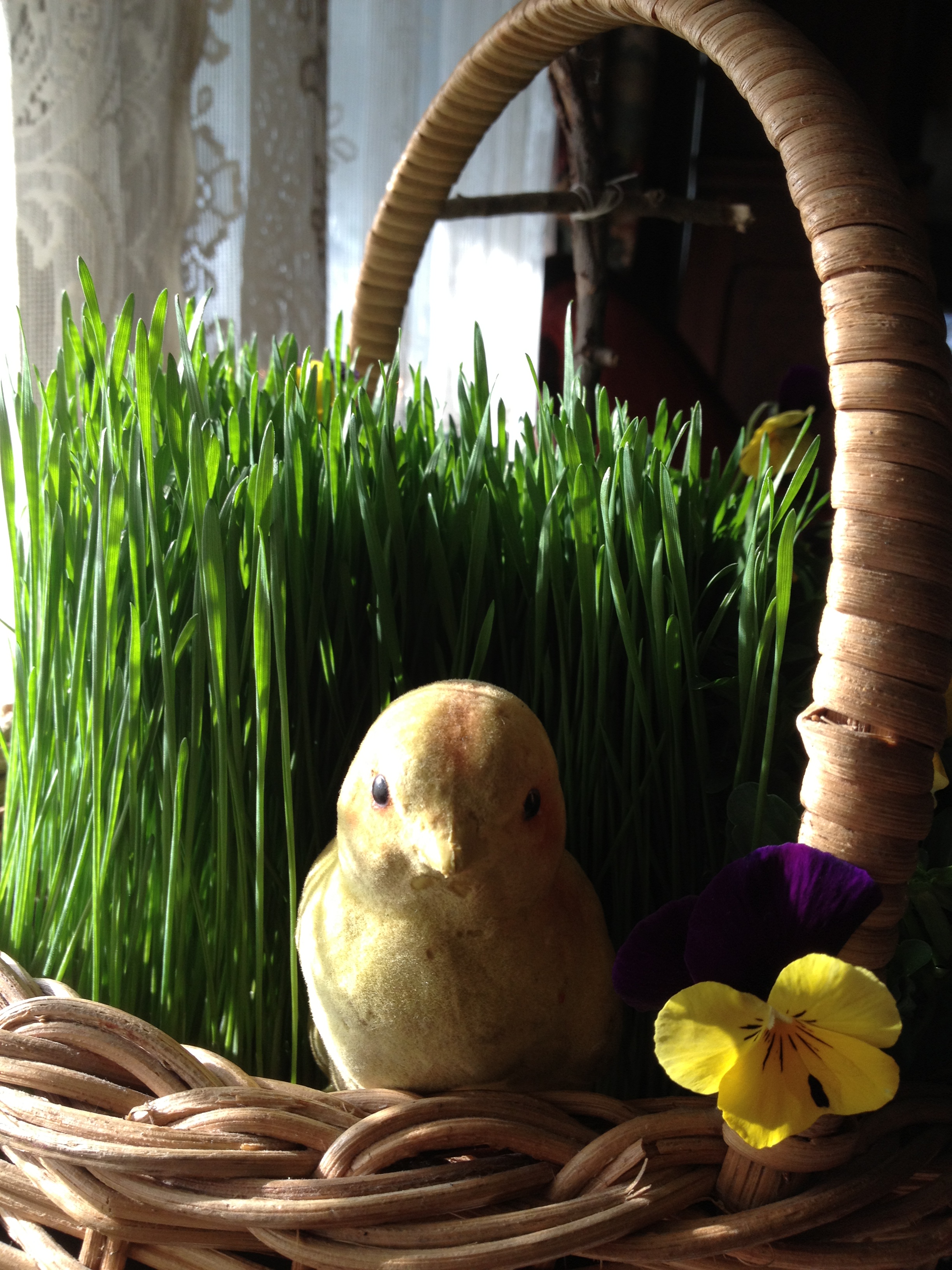 The Living Easter Basket & other Easter Traditions – Sharon Glasgow